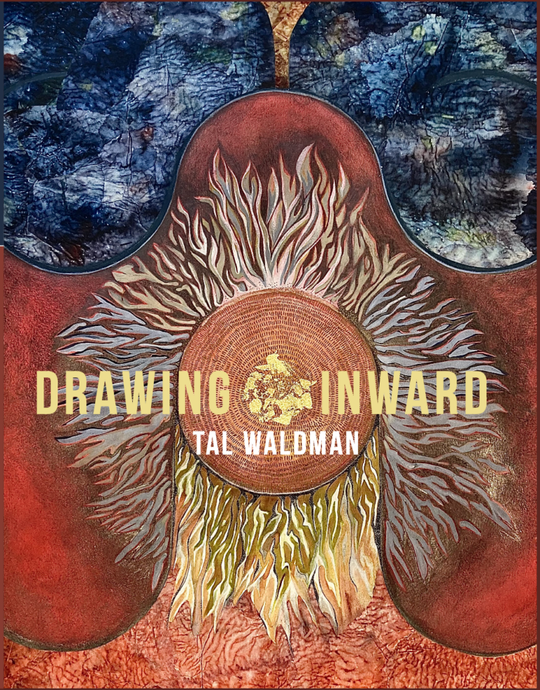 Tal Waldman « Drawing Inward » - Crieur Public
